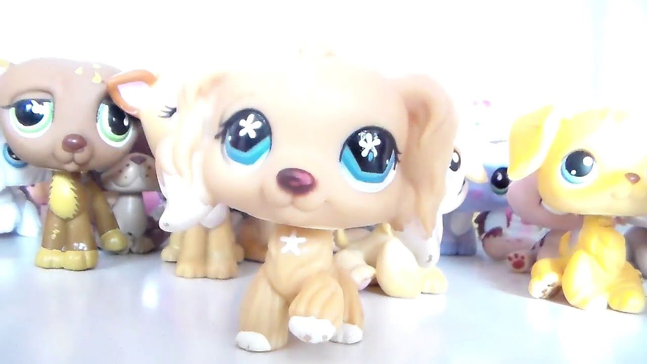 LPS : + de 50 petits nouveaux ? ♥ - YouTube
