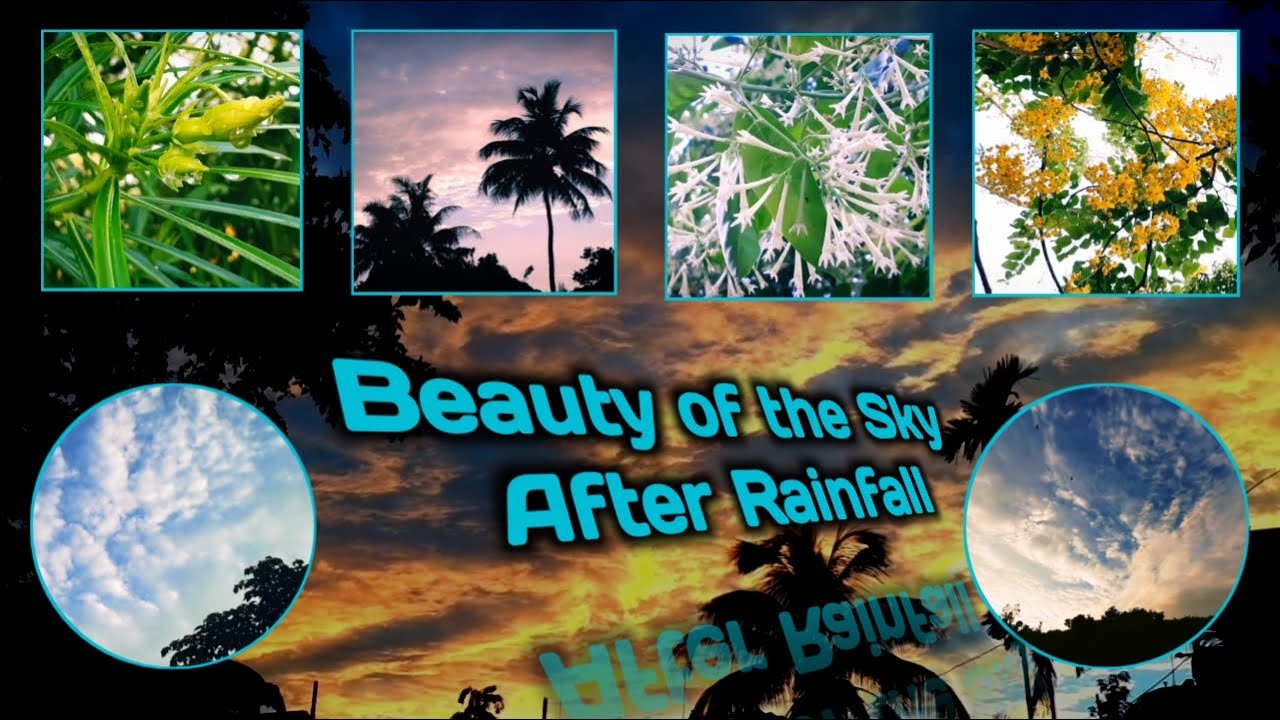 Beautiful Sky after Rainfall | Amazing Sky Video | Best Natural ...