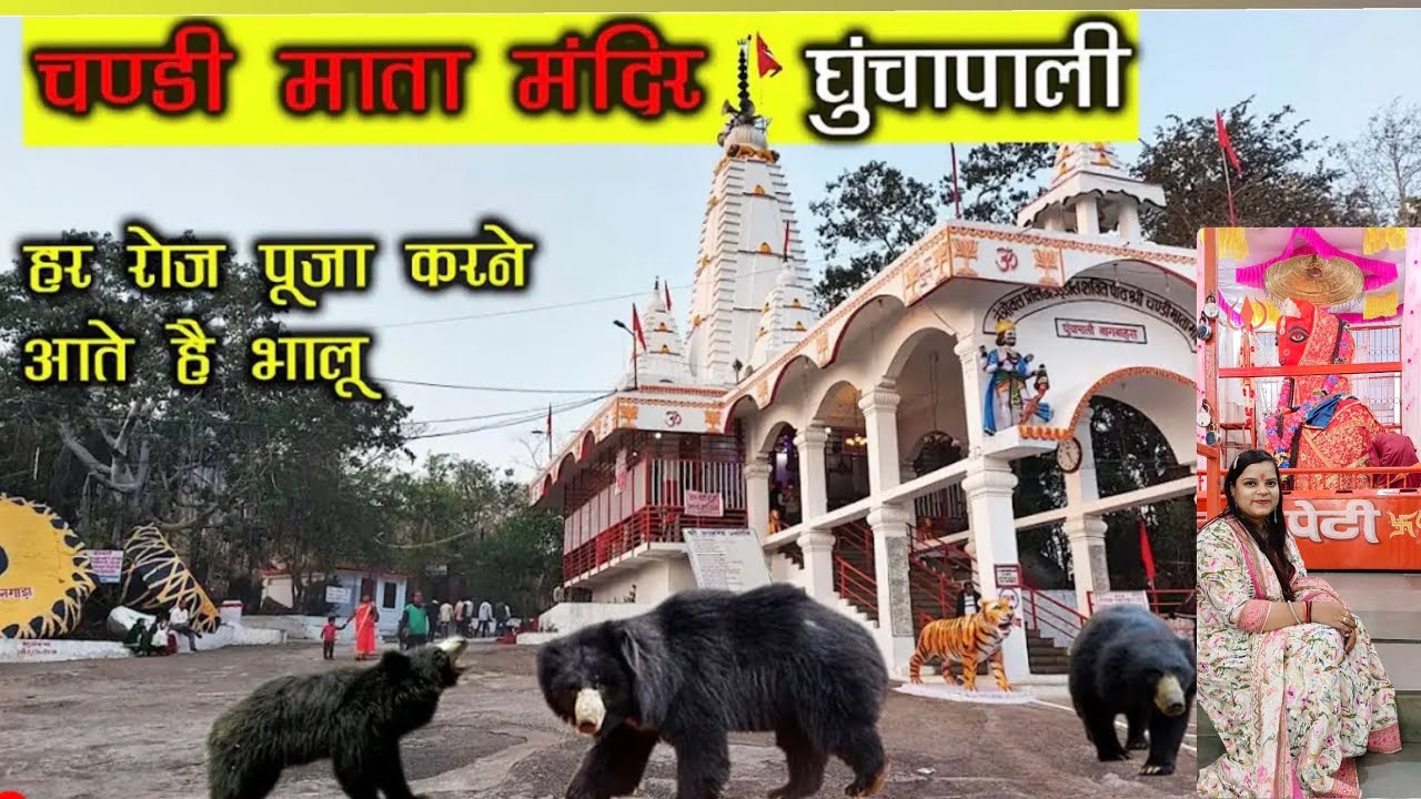 Chandi Mata Mandir Bagbahara |Bear Temple चंडी माता मंदिर बागबाहरा ...