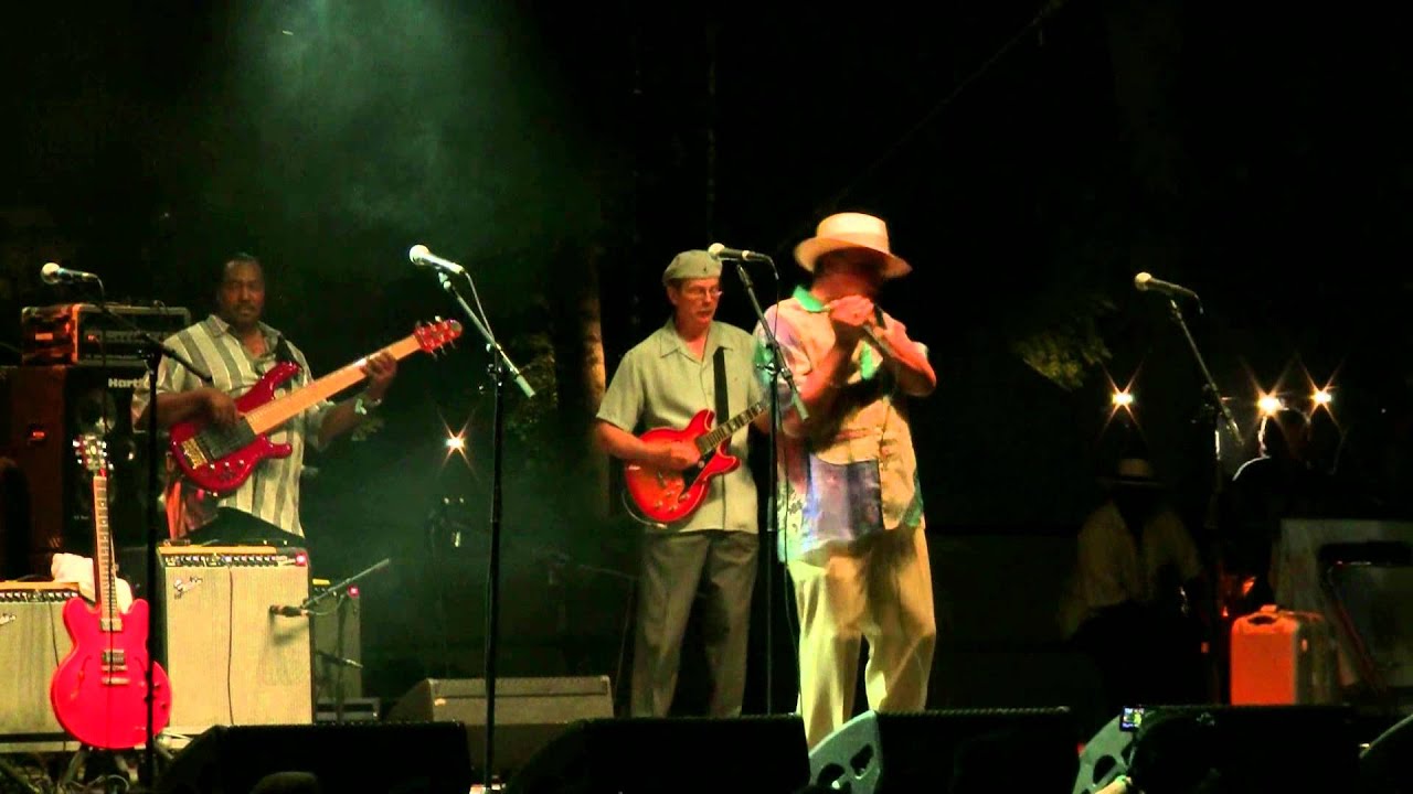 Billy Branch "Hoodoo Man" (Chicago Blues A Living History) - YouTube