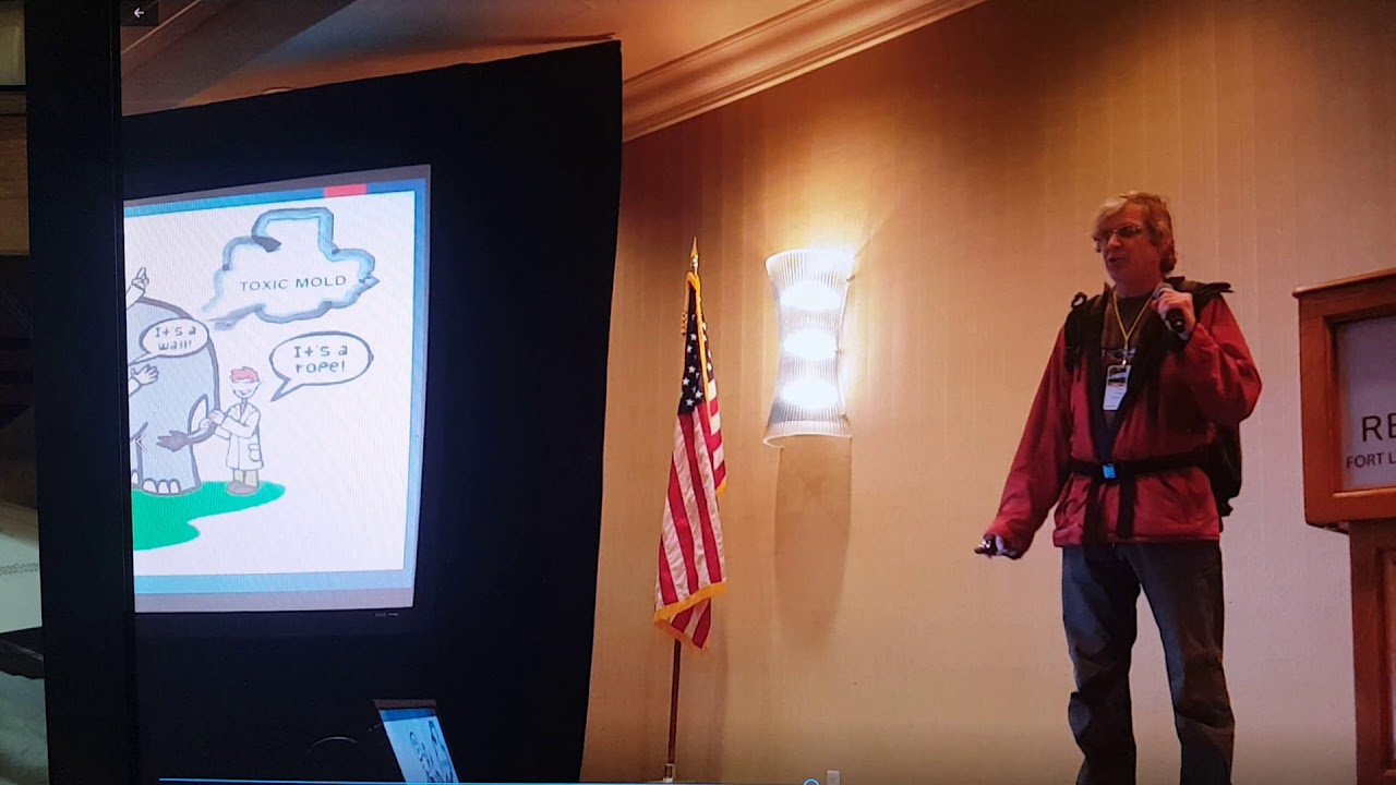 Dr Nancy Klimas - Hurricane Andrew - 2019 Mold Congress - YouTube