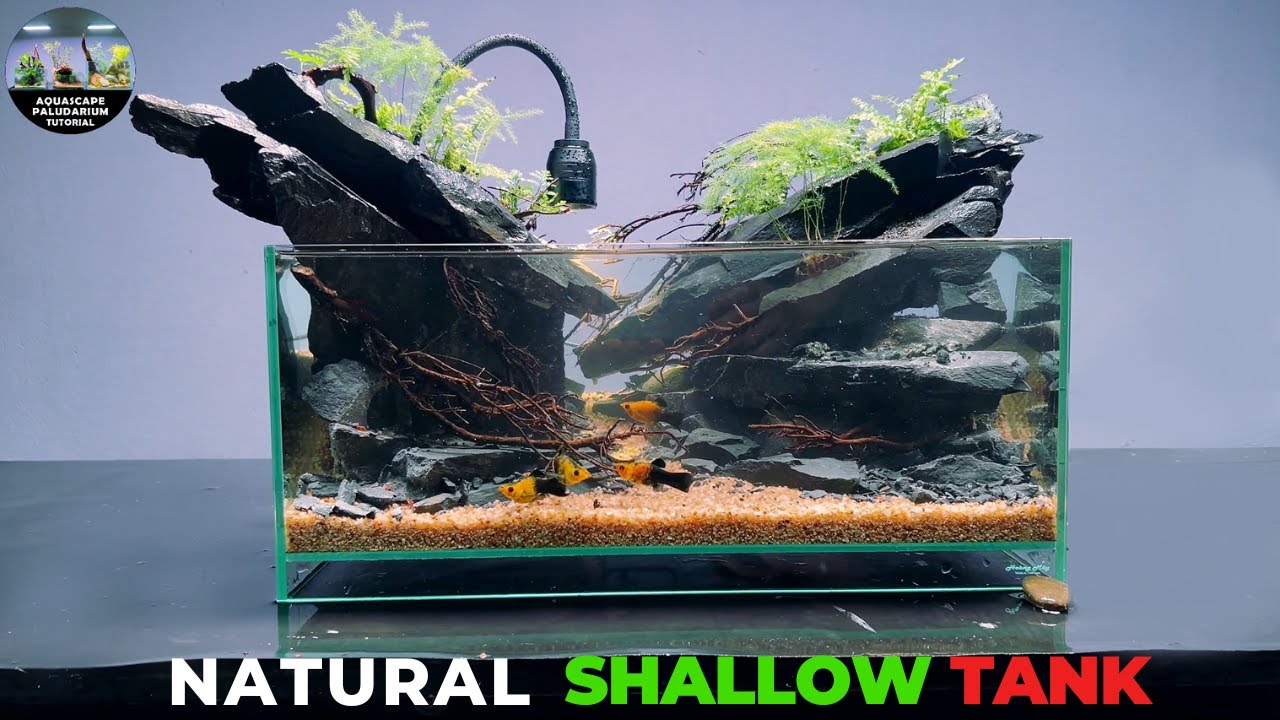 Beginner's Guide to Creating a Natural Shallow Tank with Local Plants ...