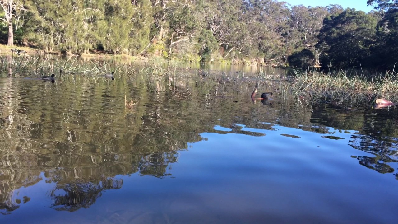 NPWS Office, Audley - YouTube