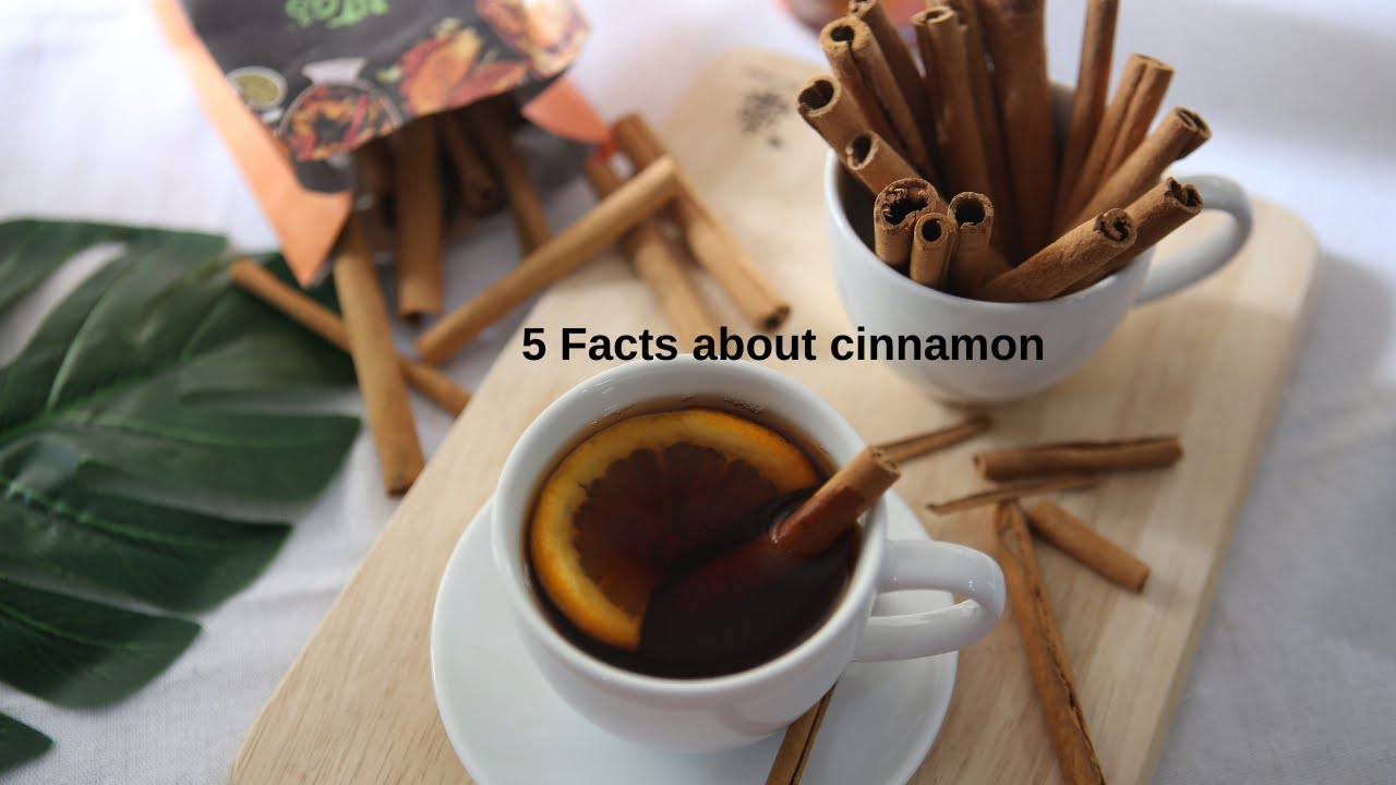 5 Facts about cinnamon - YouTube