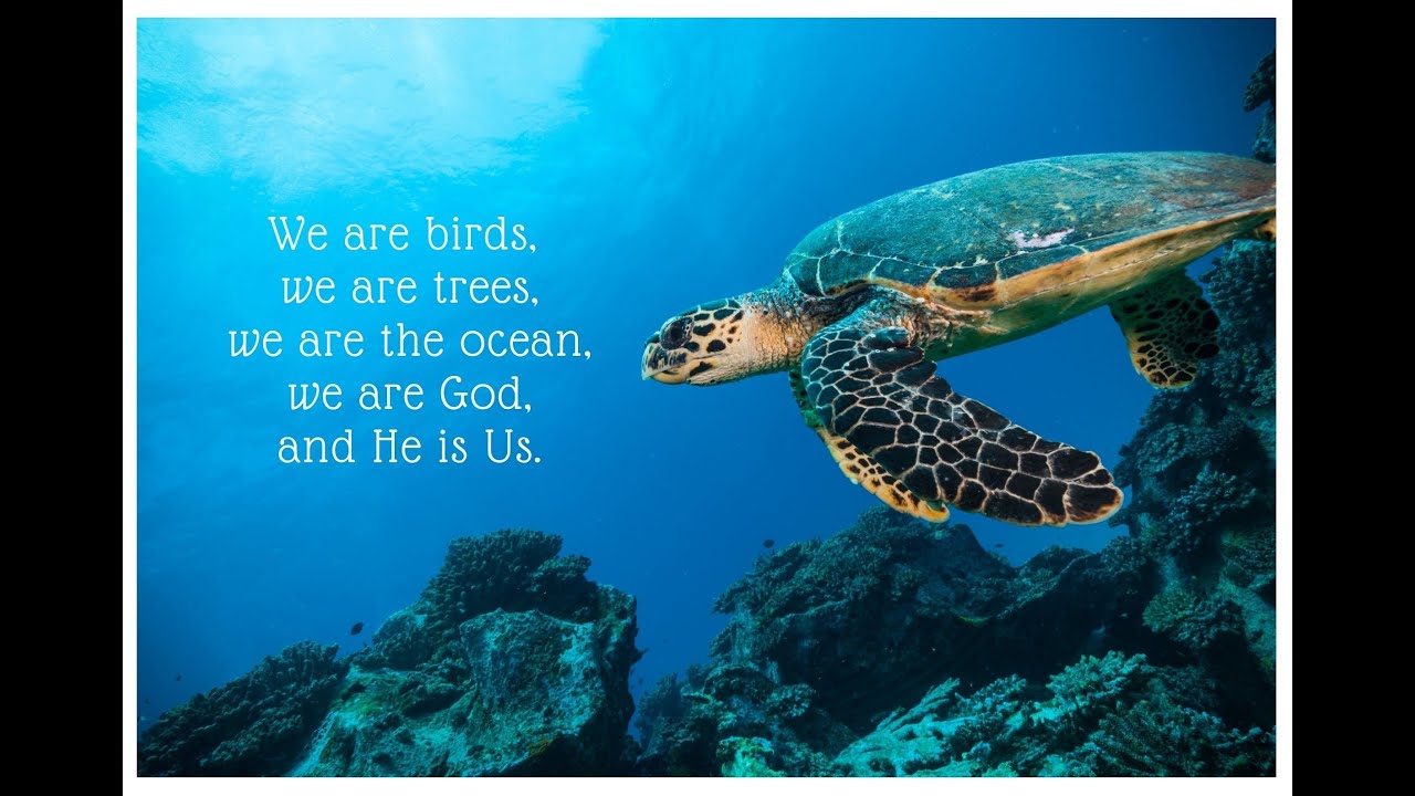 Slight Breeze - JW Farrelly - YouTube