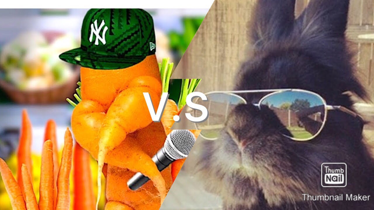 Things You Should Know About A Beautiful CARROT||Carrot Campaign ...
