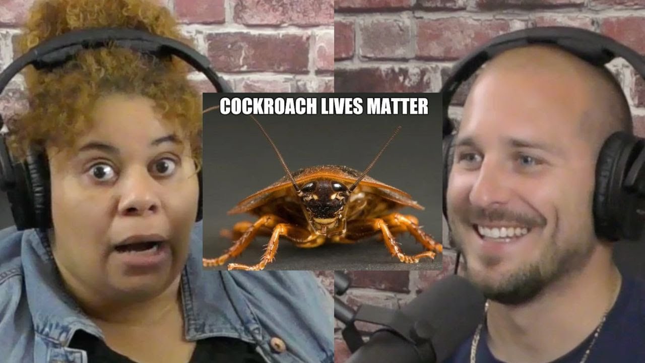 Name a cockroach after your Boyfriend? - YouTube
