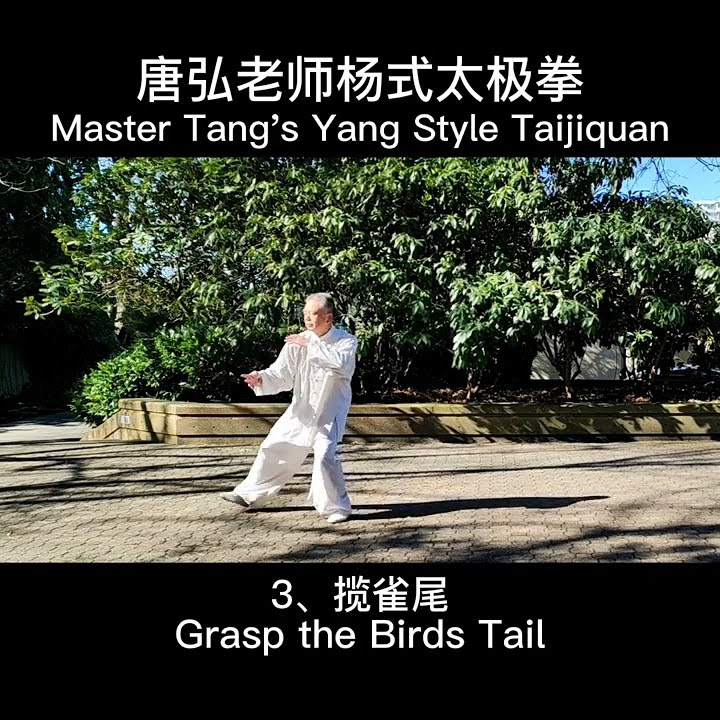唐弘老师杨式太极拳 第1~3式Master Tang's Yang Style Taijiquan Action 1~3 - YouTube