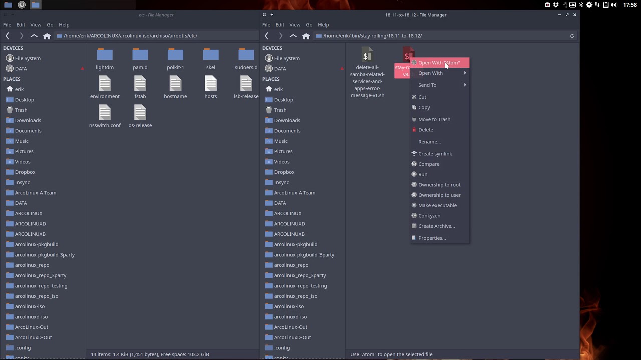 ArcoLinux : 699 manage your files via packages rather than put them on ...
