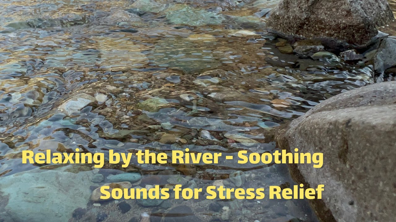 Relaxing by the River - Soothing Sounds for Stress Relief - YouTube