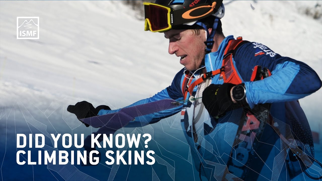 Did you know? Climbing skins | ISMF Ski Mountaineering - YouTube