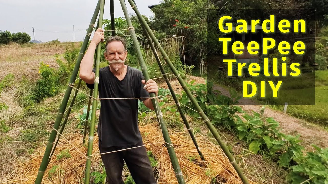 How-to Make a Teepee Trellis for Tomatoes - YouTube