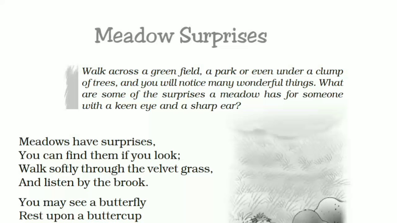 NCERT Class 7 English Honeycomb Meadow Surprise Poem Brief ncert-class-7-english-honeycomb-meadow-surprise-poem-brief