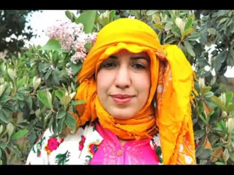 Cesim araboğlu yazılar yazılar (nette ilk) 