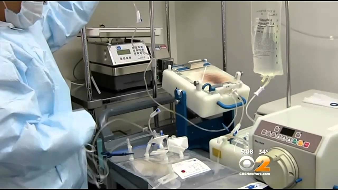 Dr. Max Gomez: HIV Gene Therapy - YouTube