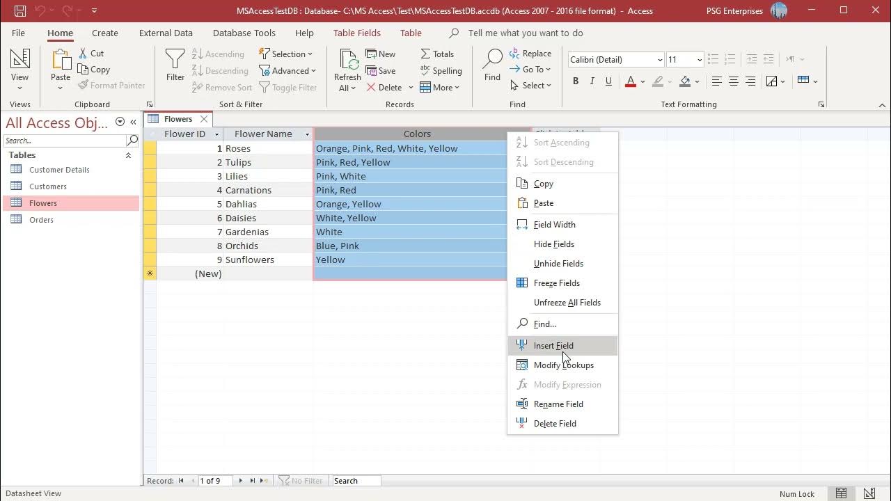 Criteria for Lookup Fields in MS Access - Office 365 - YouTube