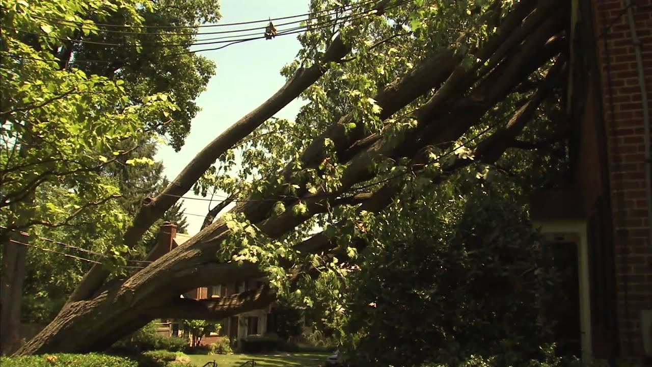 Week 2 DPS Weather the Storm PSA - YouTube
