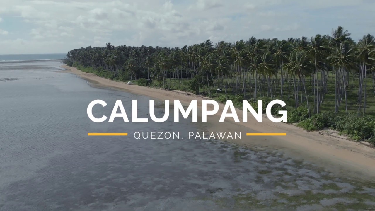 6.8-ha Beach Lot and Coconut Plantation - Calumpang, Quezon, Palawan ...