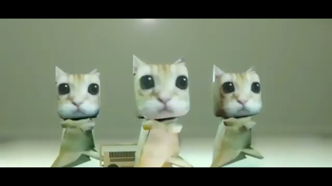 el Gato dancing.. - YouTube