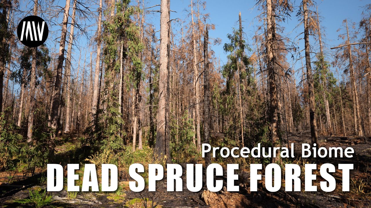 Unreal Engine 5 - Dead Spruce Forest - Ultra realistic AAA environment ...
