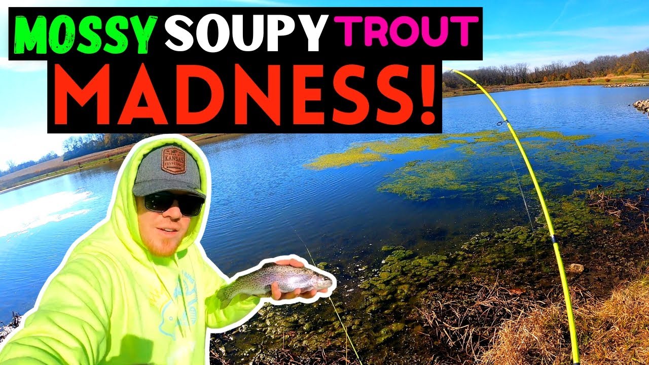 Mossy Soupy Trout MADNESS! - YouTube