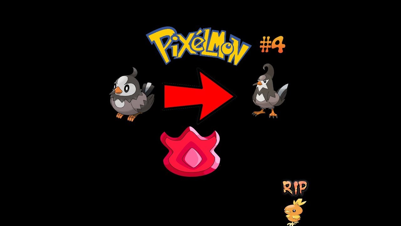 Starly Evolves! First Gym Badge (rip torchic) | Pixelmon #4 - YouTube