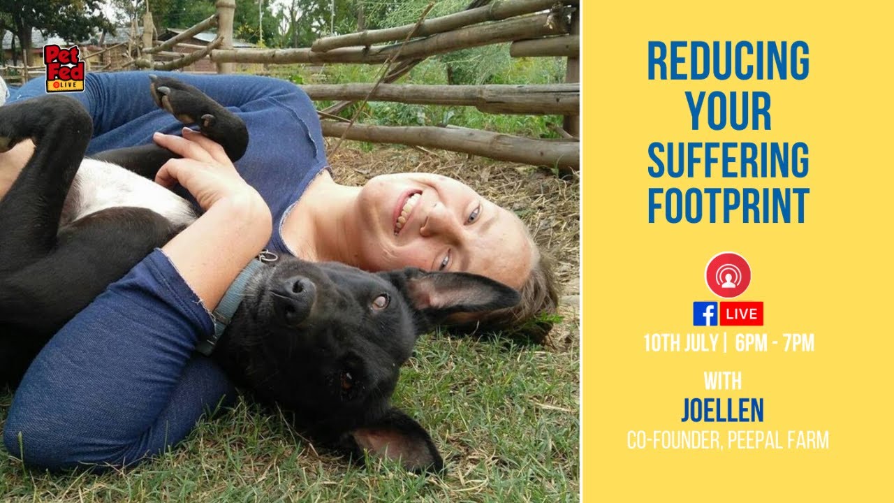 Reducing Your Suffering Footprint - YouTube