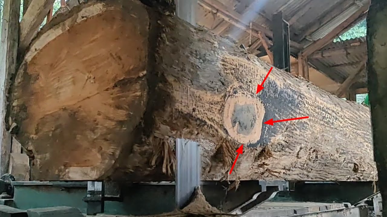 beautiful large teak eyes, extraordinary woodworking process - YouTube