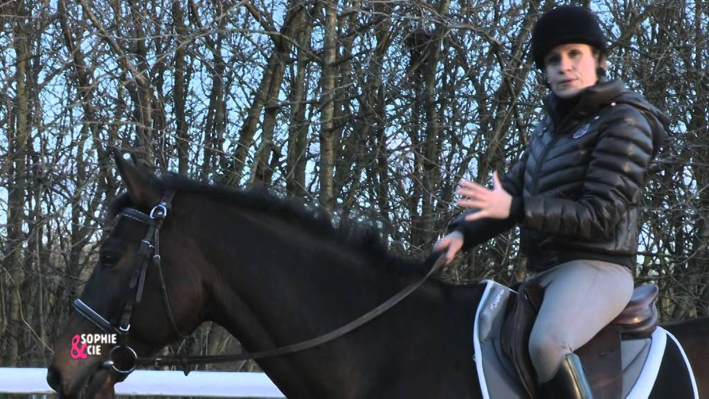 Muscler le dos de votre cheval, au trot - Equidia Life - YouTube
