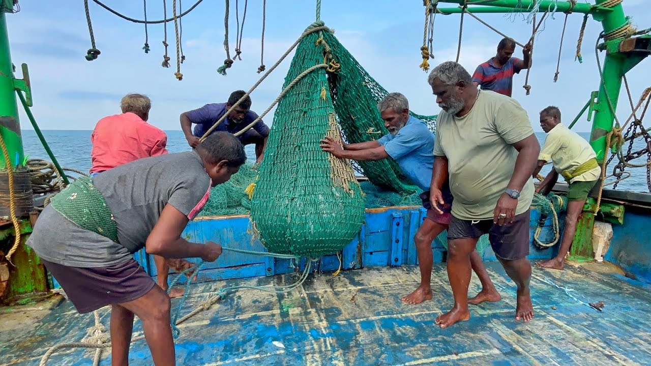 Ohh Trawler Net Fishing 💢 Indian Fishing Adventure 🤩 - YouTube