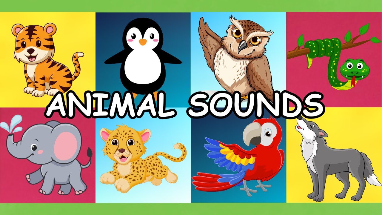 Fun Animal Sounds for Kids and Toddlers: Learn Animal Sounds | Nursery ...