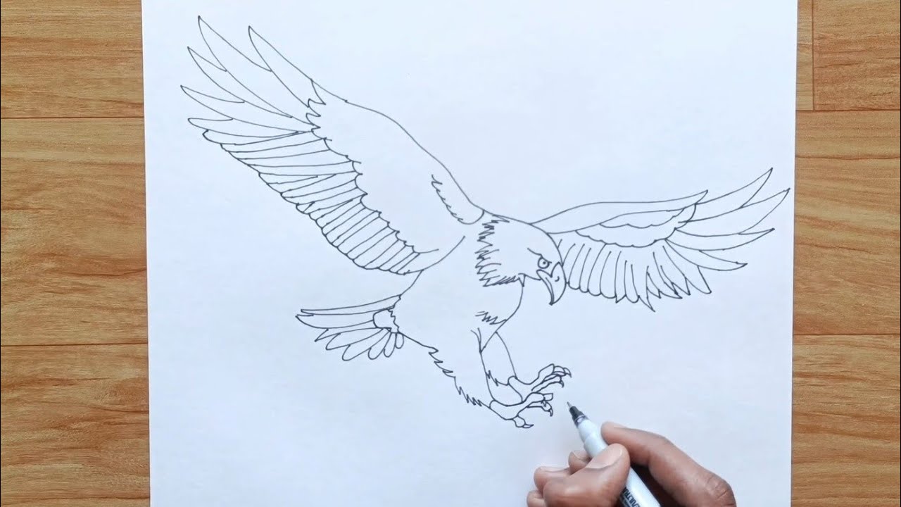 How to Draw an Eagle | Eagle Drawing | Sketch Drawing | Easy Sketches ...