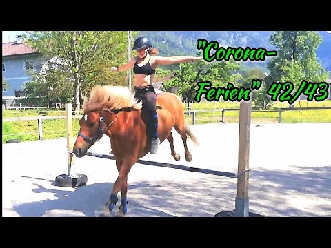 "Corona-Ferien" I Daily-Vlog 42/43 | Springen ohne Sattel mit Stall-Halfter | Training mit ...