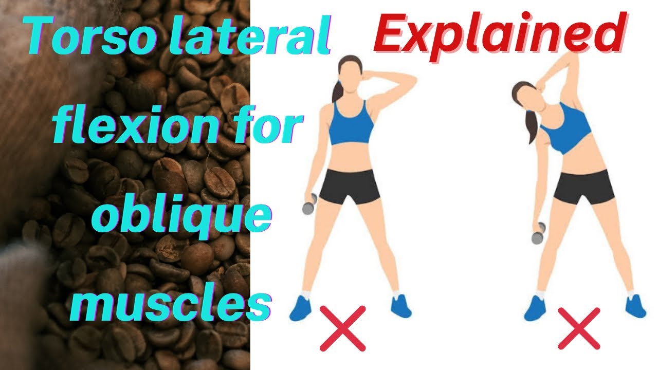 Torso lateral flexion| side Bend exercise| Torso flexion | side flexion | oblique workout | # ...
