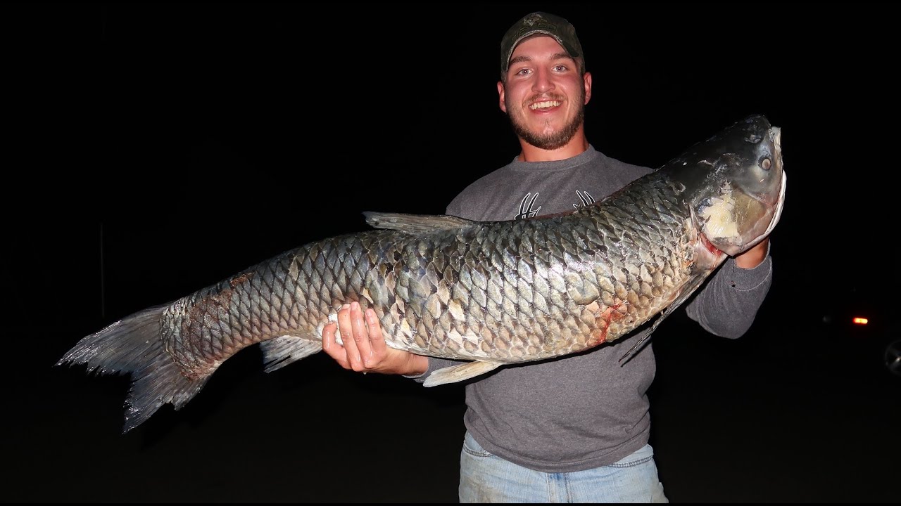 BOWFISHING | PA STATE RECORD CARP?? - YouTube