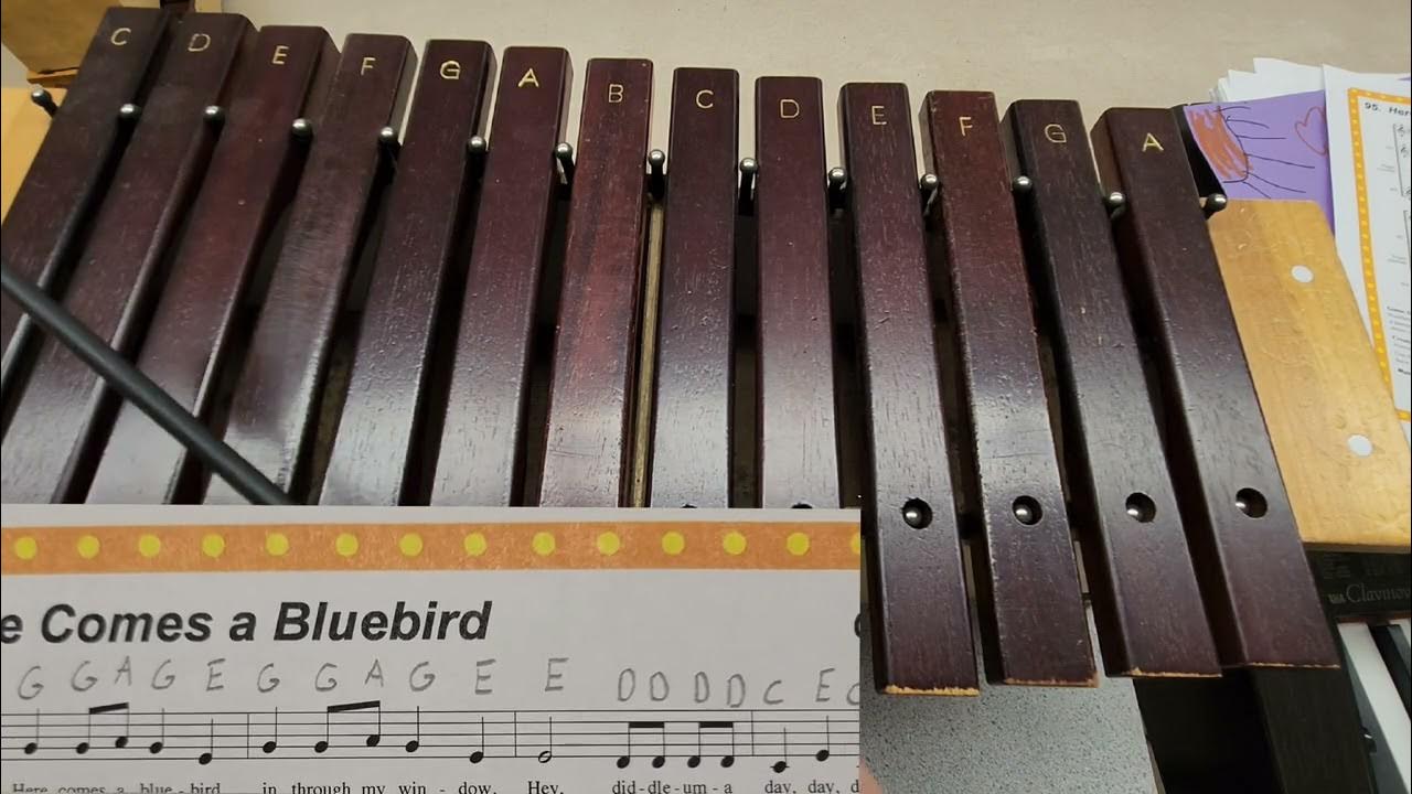 Here Comes A Bluebird | Xylophone Tutorial - YouTube