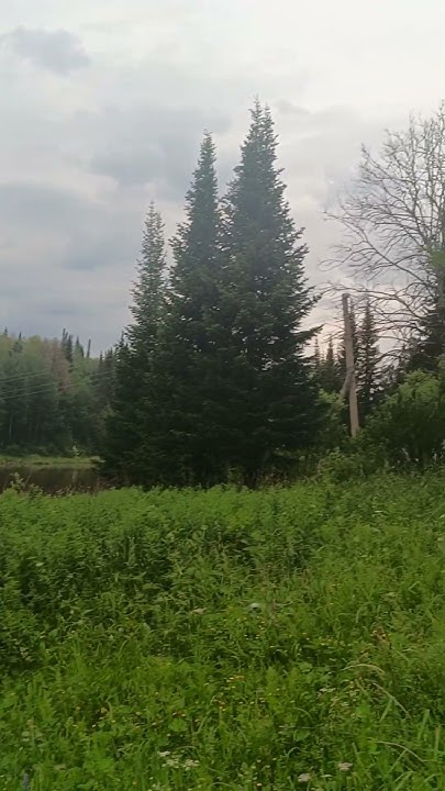 Сибирская красота. - YouTube