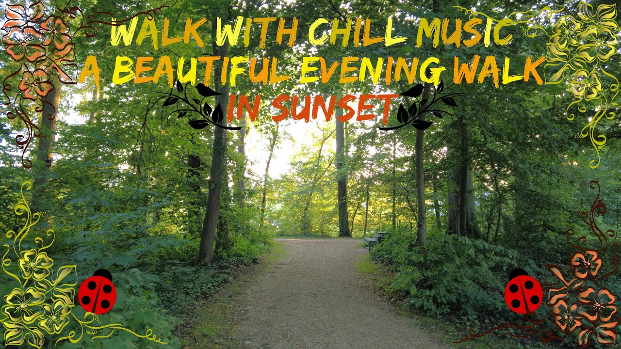 Nature Walk with Chill Music - A Beautiful Evening Walk in Sunset🌄 ...