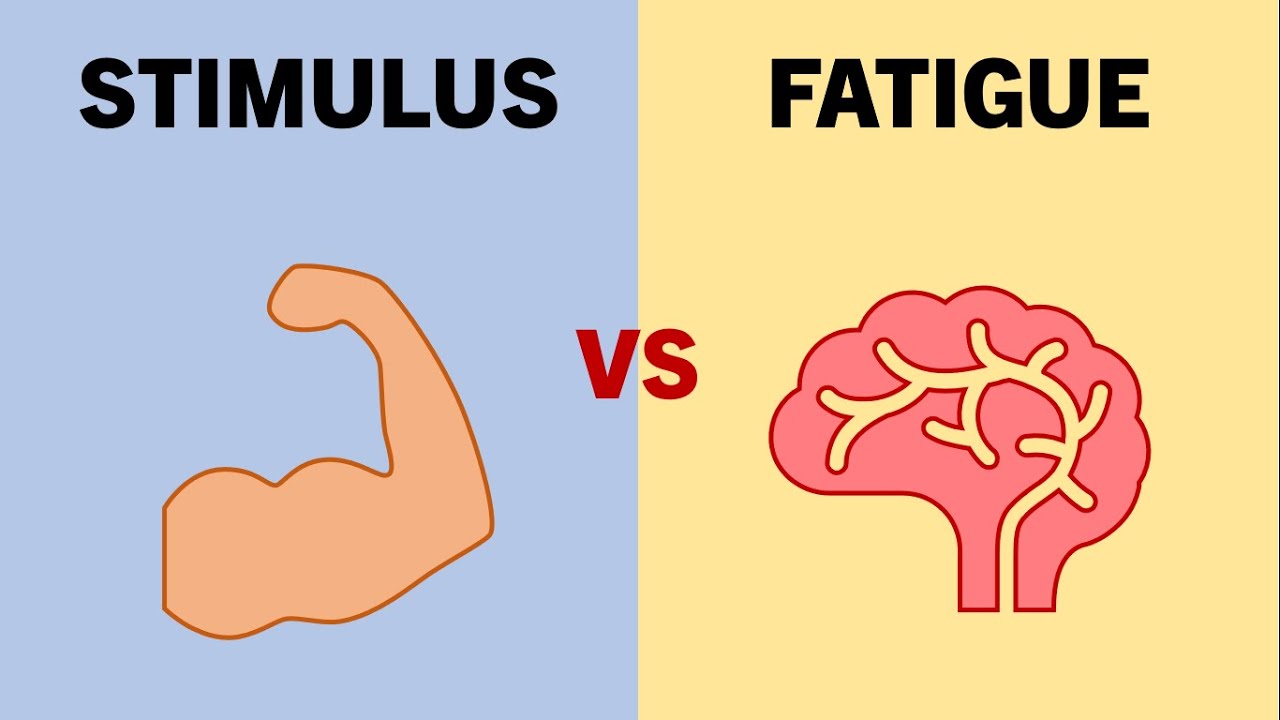 Stimulus-to-Fatigue Ratio | Exercise Selection for Hypertrophy Training ...