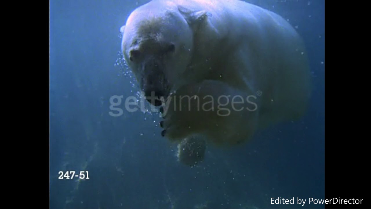 Baby Einstein On the Winter Polar Regions 2 - YouTube