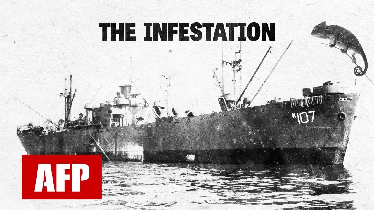 Lizards Overrun Navy Ship During WWII - YouTube