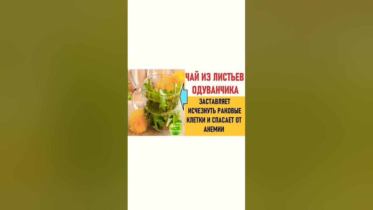 Чай из листьев Одуванчика - YouTube