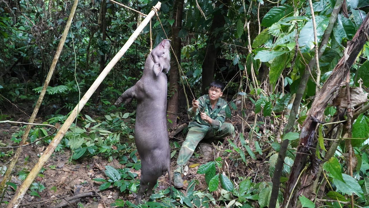 wild boar tracks, picking up wild snails, catching crabs, a giant wild ...