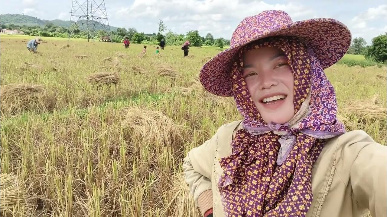 hnub no peb mus sau nplej lawm nawb kub tiag2 li os - YouTube