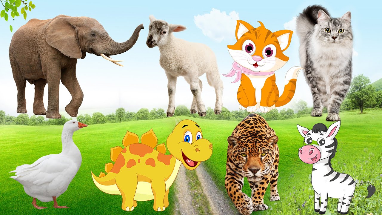 1000 animals - playing together, eating together- in the dreamy forest ...