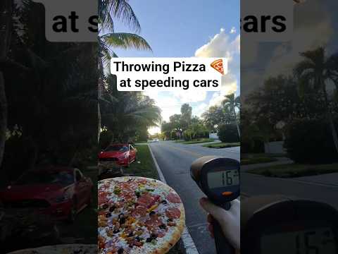 throwing food at speeding car in a school zone
