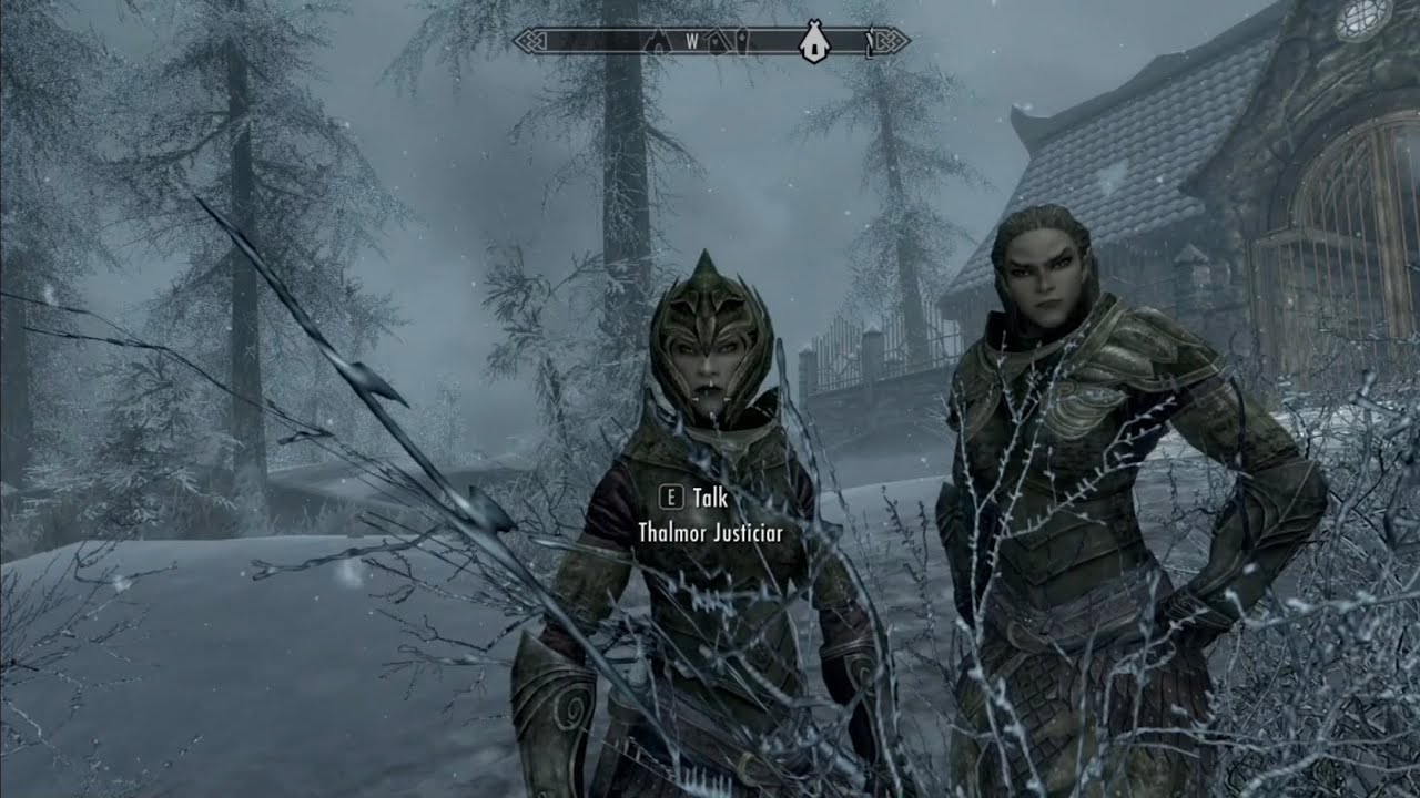 Thalmor Justiciar in Skyrim are too Arrogant - YouTube