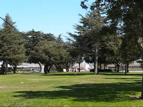 Longlining for Beginners – The Complete Guide - Slackline HiveFly