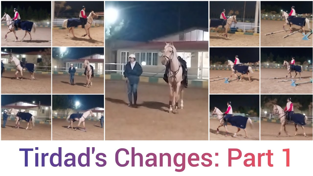 💛 Tirdad's new trainer is better 🦄 - YouTube