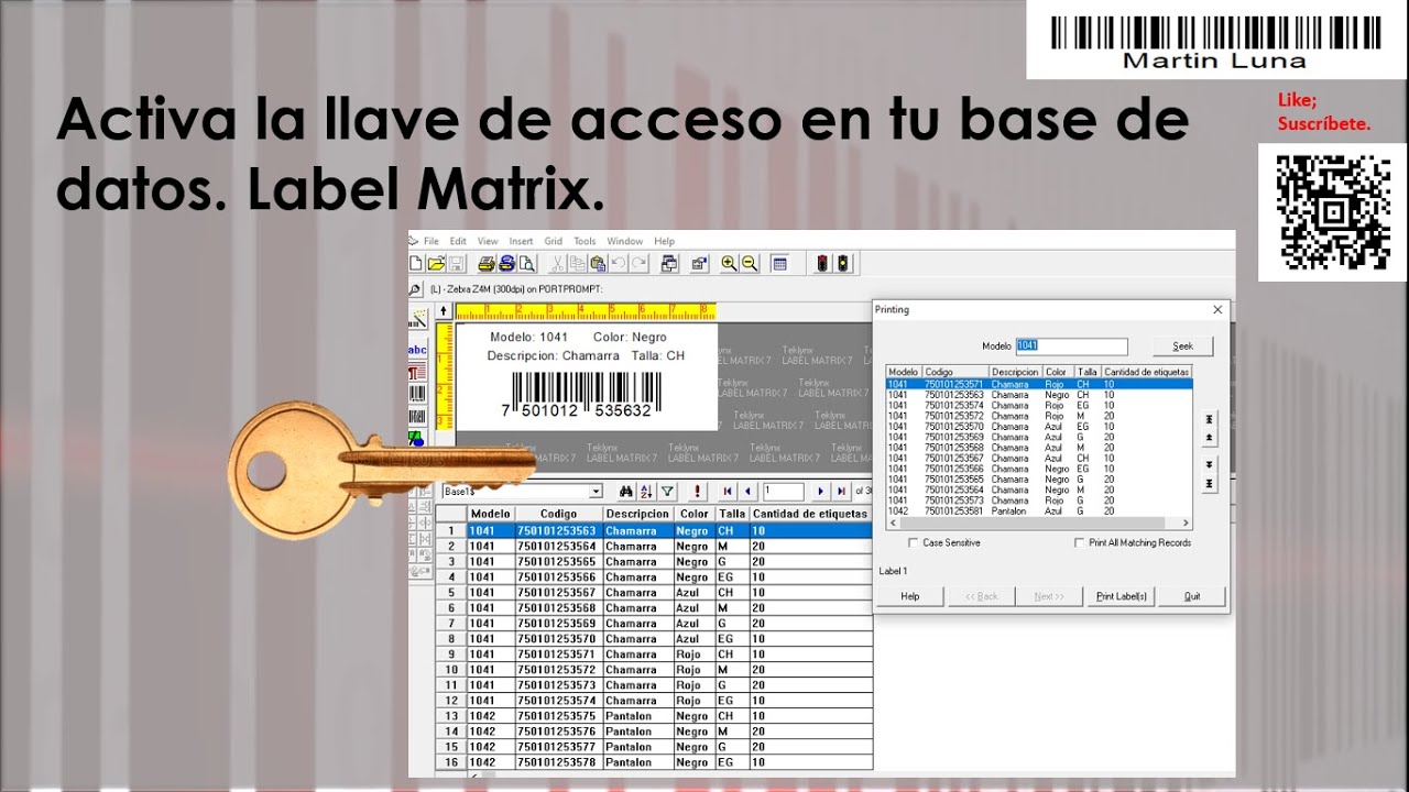 Que es una llave de acceso y como configurarla en Label Matrix. - YouTube